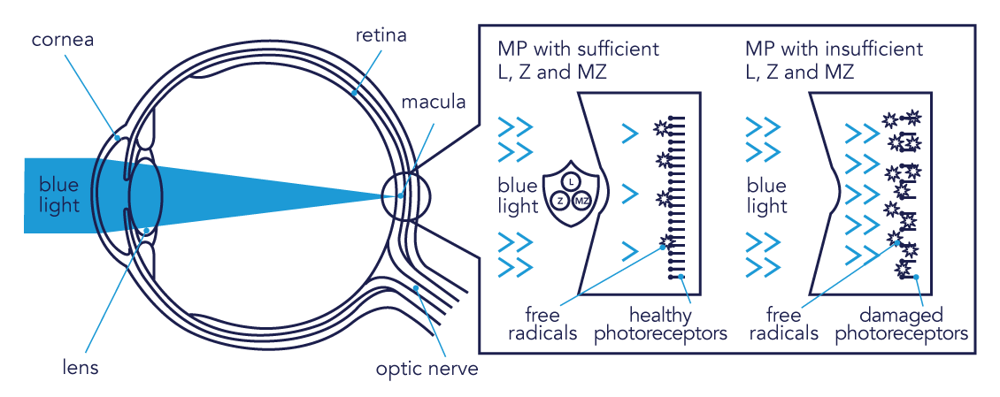 Protect Your Eyes from Blue Light - VitaHealth Malaysia